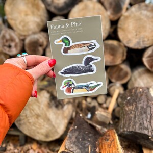 Waterfowl Stickers | Bird Sticker Pack | Waterproof | Gifts for Bird ...