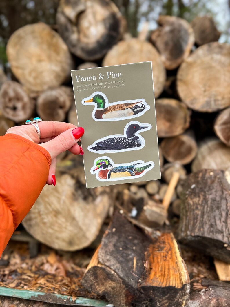 Waterfowl Stickers | Bird Sticker Pack | Waterproof | Gifts for Bird ...