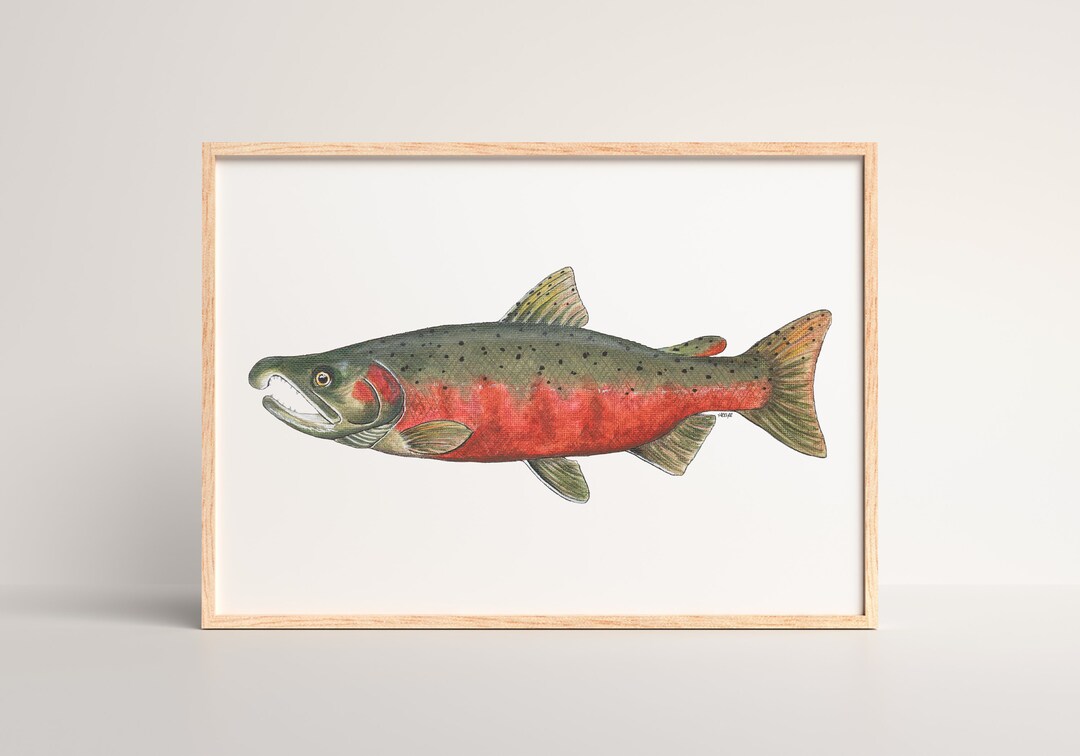Coho Salmon Print Spawning Coho Salmon Painting Salmon Artwork Fish Art ...
