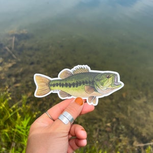 Largemouth Bass Sticker | Vinyl Bass Decal | Waterproof | Bass Sticker ...