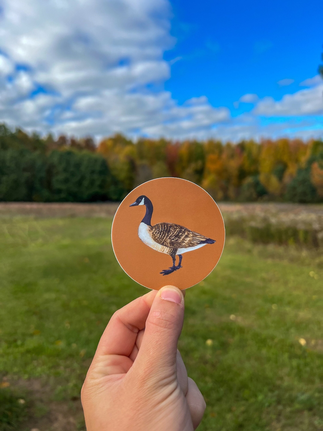 Canadian Goose Sticker Vinyl Goose Decal Waterproof - Etsy