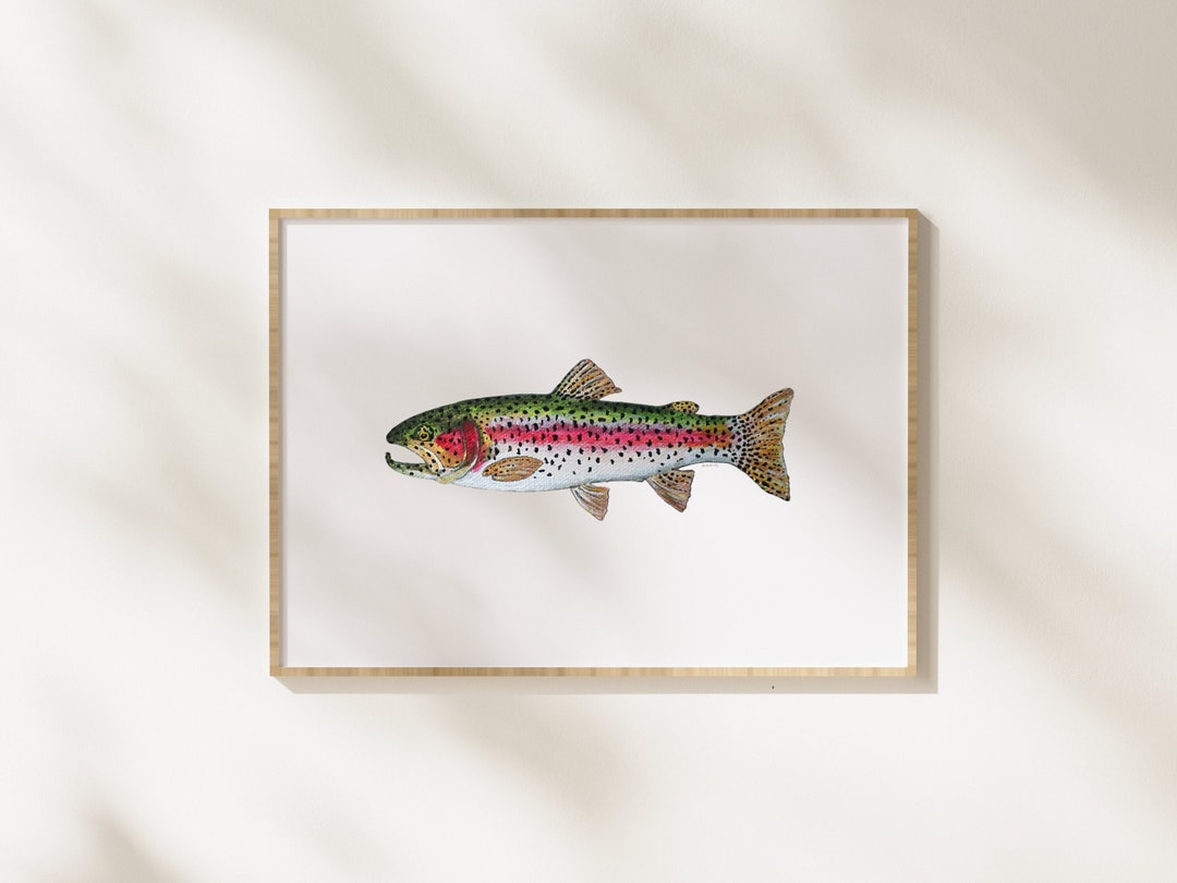 Rainbow Trout Print Rainbow Trout Painting Rainbow Trout Art Trout Art ...