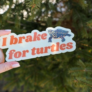 I Brake for Turtles Bumper Sticker | Turtle Sticker | Painted Turtle ...
