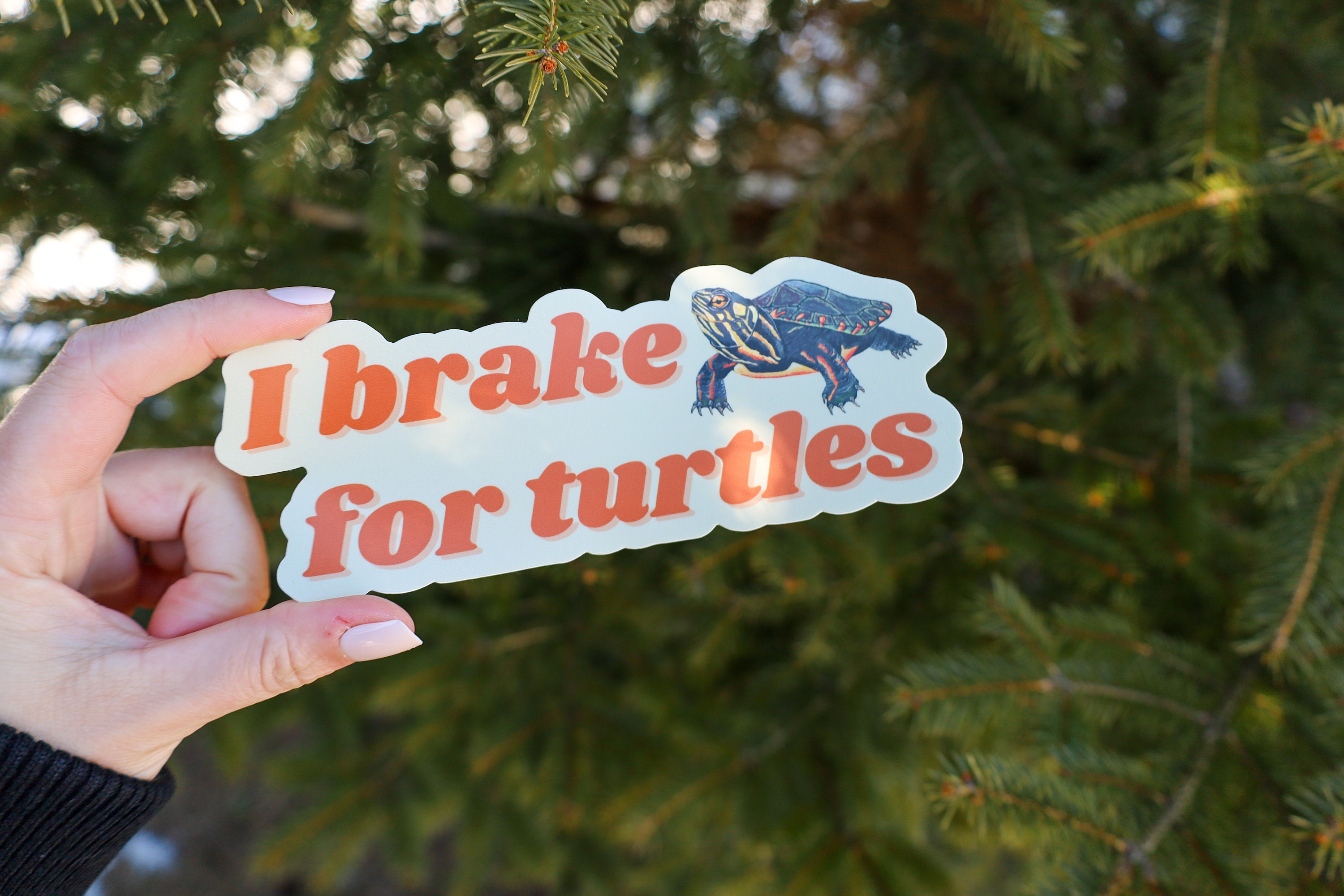 I Brake for Turtles Bumper Sticker | Turtle Sticker | Painted Turtle ...