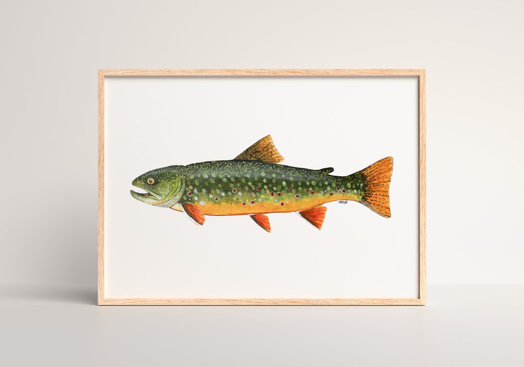 Brook Trout Print Brook Trout Painting Brook Trout Art Fly Fishing ...