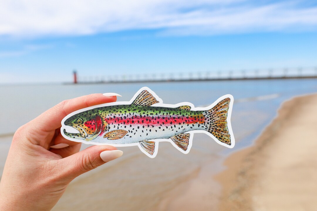Rainbow Trout Sticker Hand Painted North American Fish Fishing Gifts ...