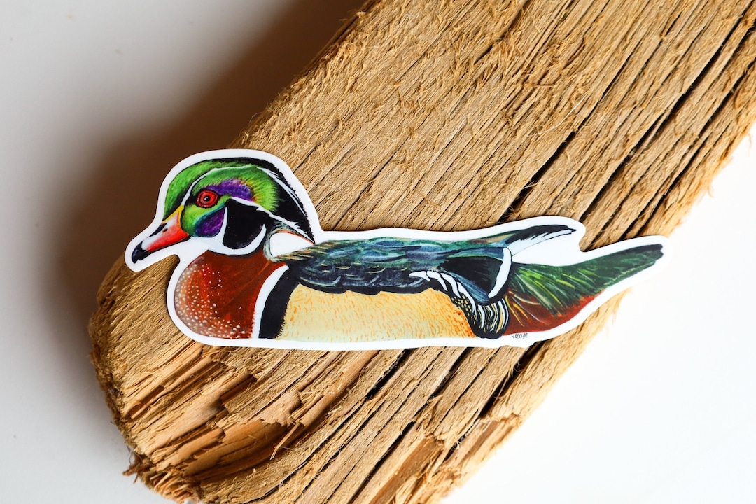 Wood Duck Sticker | Vinyl Wood Duck Decal | Waterproof | Bird Sticker ...