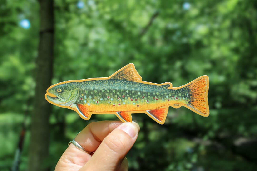 Brook Trout Sticker | Hand Painted | North American Fish | Fishing ...
