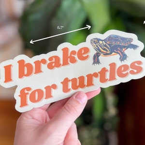 I Brake for Turtles Bumper Sticker | Turtle Sticker | Painted Turtle ...
