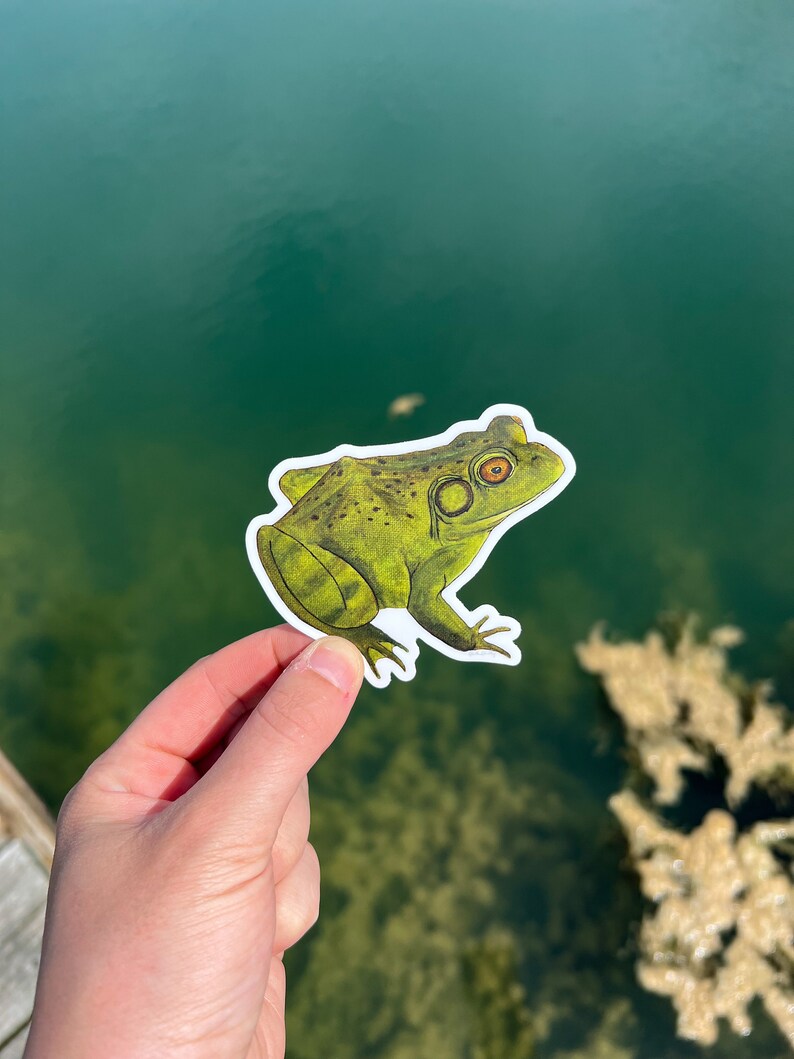 Bullfrog Vinyl Sticker Waterproof Decal Frog Sticker - Etsy