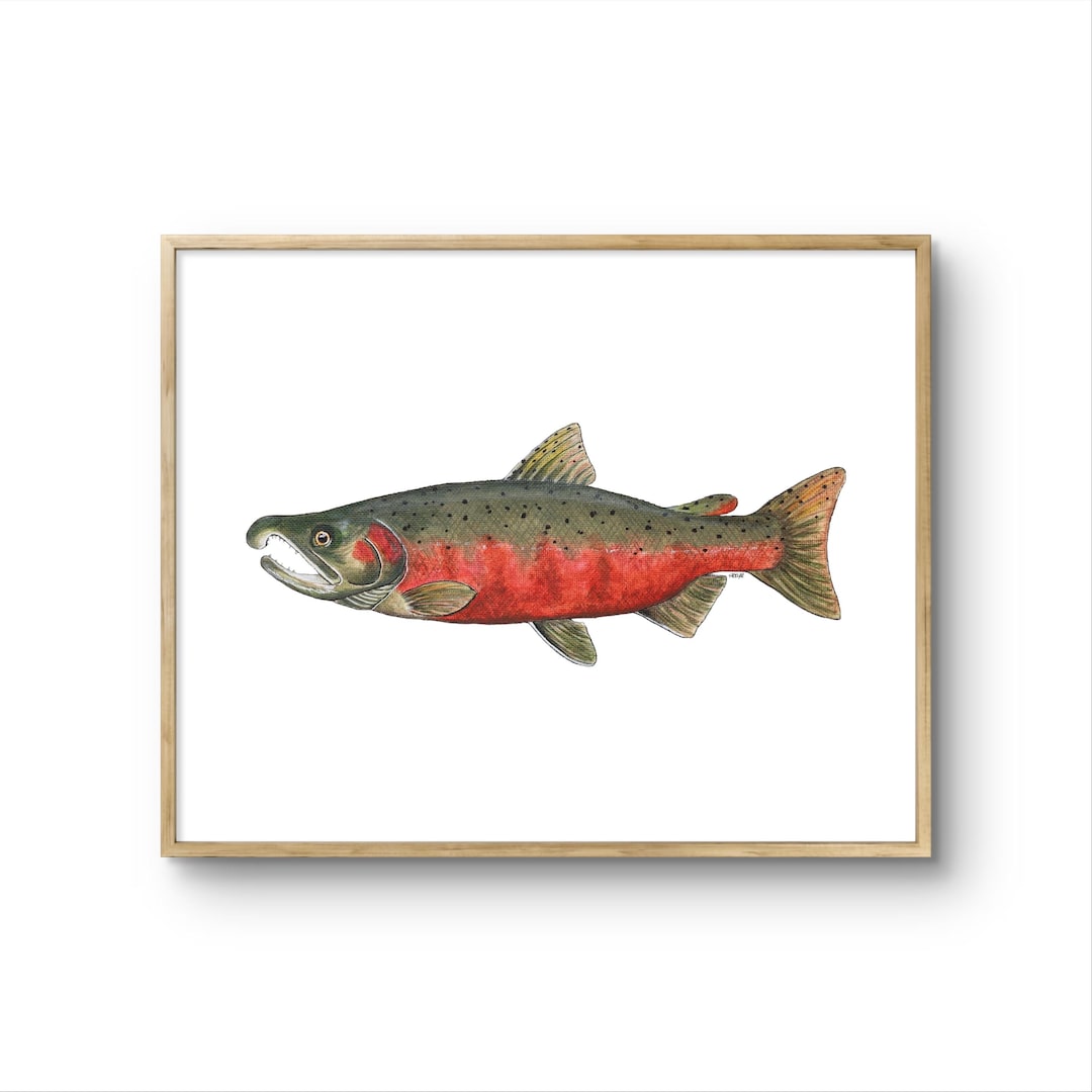 Coho Salmon Print | Spawning Coho Salmon Painting | Salmon Artwork ...