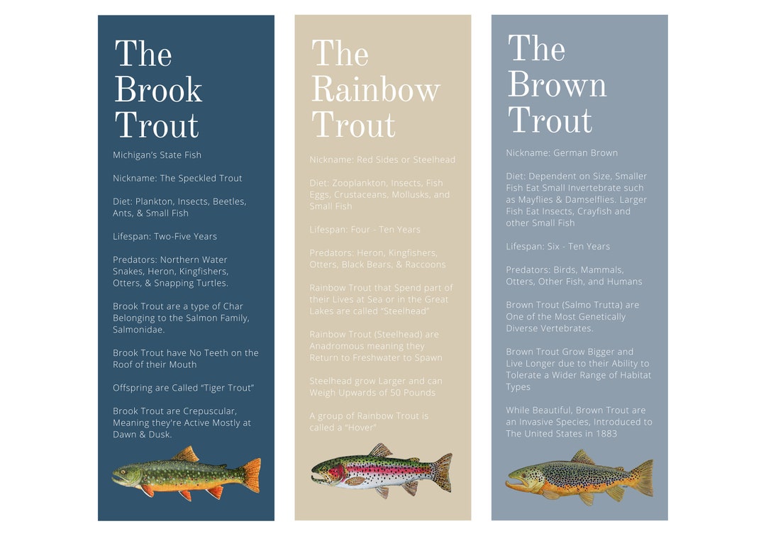 Trout Bookmarks | Fishing Bookmarks | Brook Trout | Rainbow Trout ...