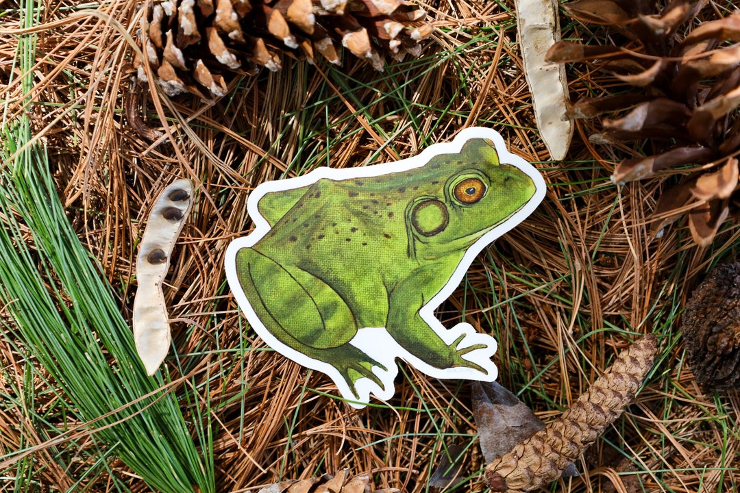 Bullfrog Vinyl Sticker Waterproof Decal Frog Sticker - Etsy