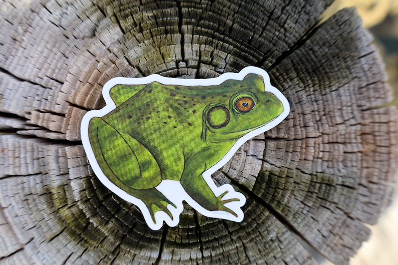 Bullfrog Vinyl Sticker Waterproof Decal Frog Sticker - Etsy