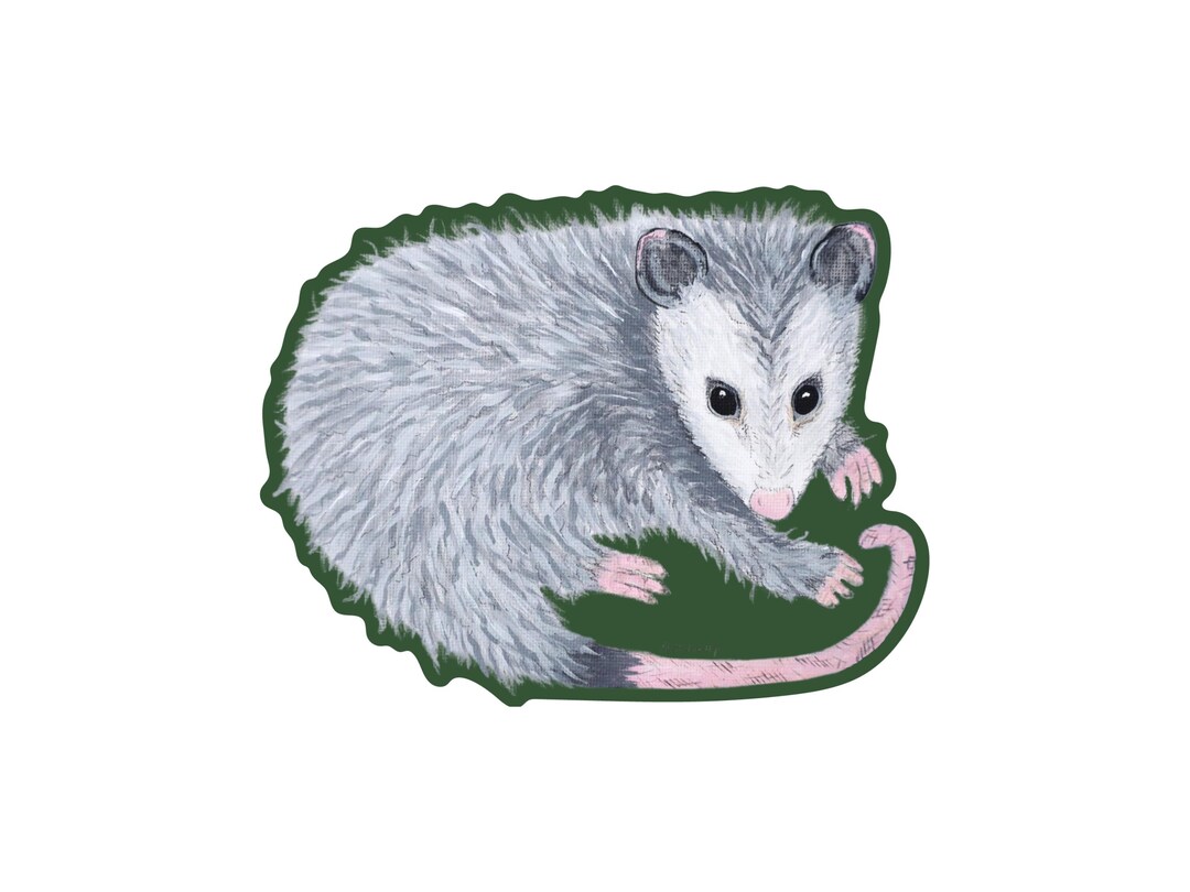 Opossum Sticker | Opossum | Opossum Decal | Hand Painted Original ...