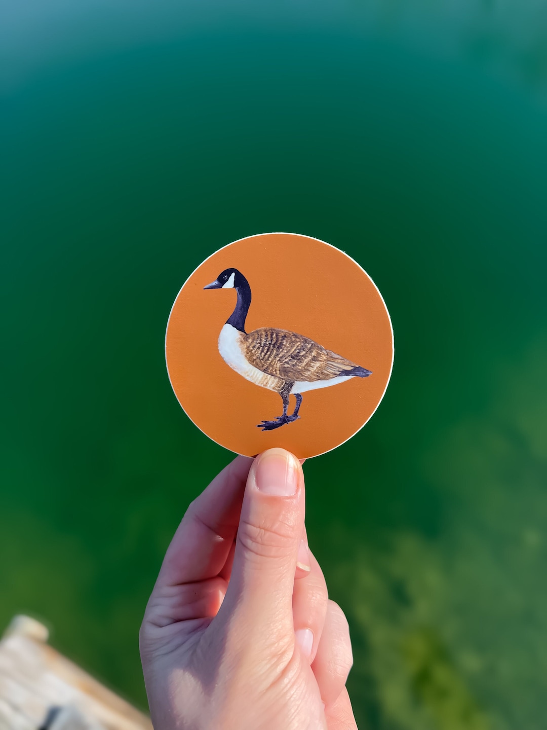 Canadian Goose Sticker | Vinyl Goose Decal | Waterproof | Goose Sticker ...
