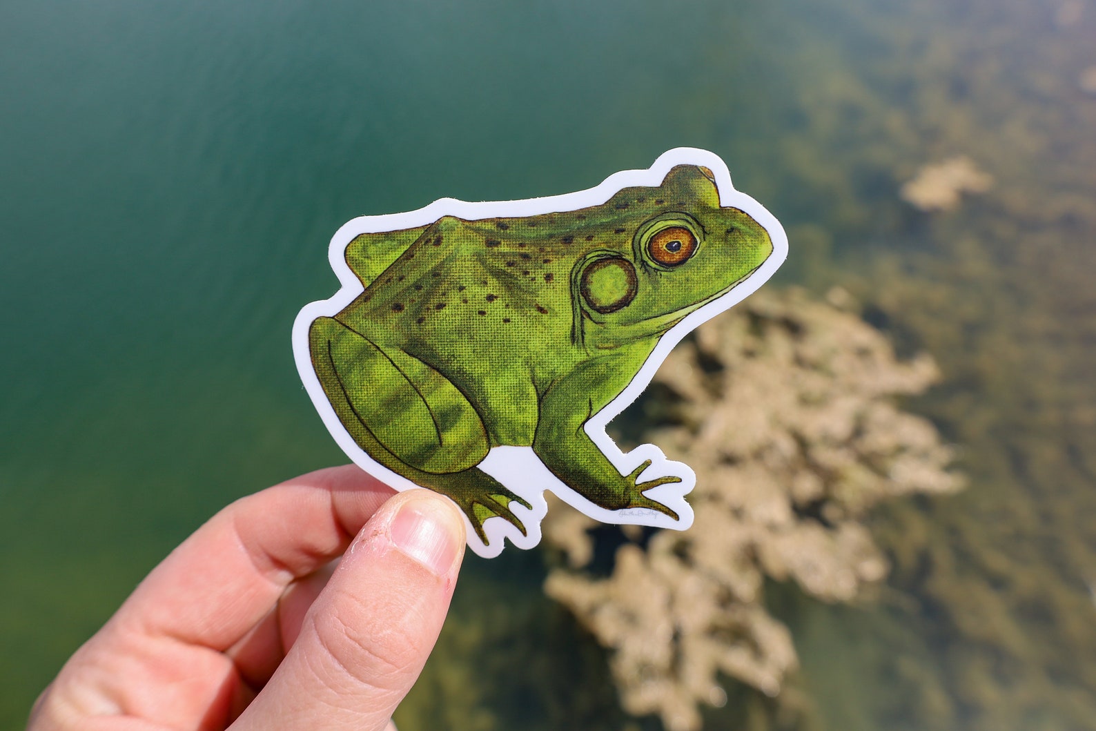 Bullfrog Vinyl Sticker Waterproof Decal Frog Sticker - Etsy