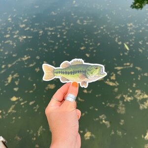 Largemouth Bass Sticker | Vinyl Bass Decal | Waterproof | Bass Sticker ...