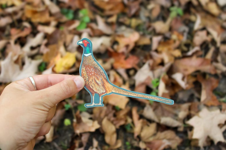 Pheasant Sticker | Vinyl Pheasant Decal | Waterproof | Nature Stickers ...