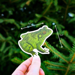 Bullfrog Vinyl Sticker | Waterproof Decal | Frog Sticker | Hand Painted ...