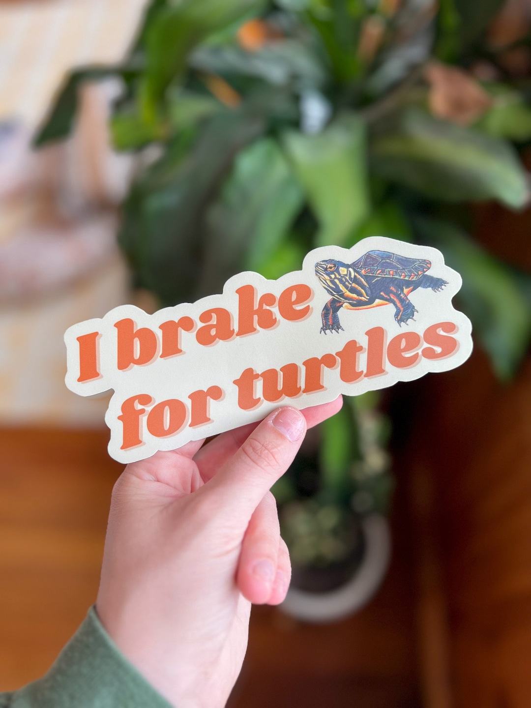 I Brake for Turtles Bumper Sticker | Turtle Sticker | Painted Turtle ...
