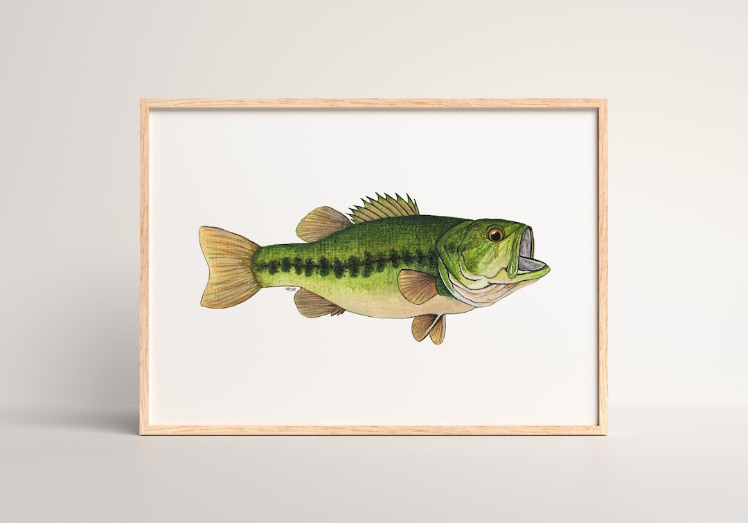 Largemouth Bass Print Largemouth Bass Painting Largemouth Bass Art Bass ...