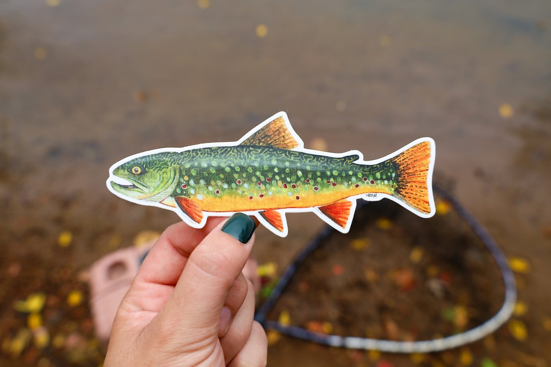 Brook Trout Sticker | Hand Painted | North American Fish | Fishing ...