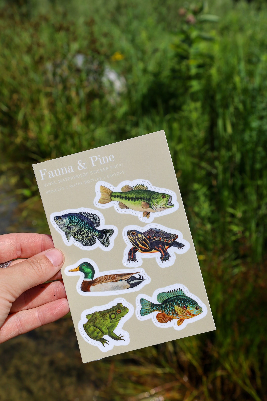 Fish Stickers Pond Sticker Pack Waterproof Fishing Gifts for Men Nature ...