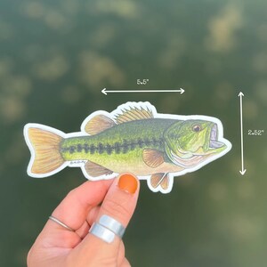 Largemouth Bass Sticker | Vinyl Bass Decal | Waterproof | Bass Sticker ...
