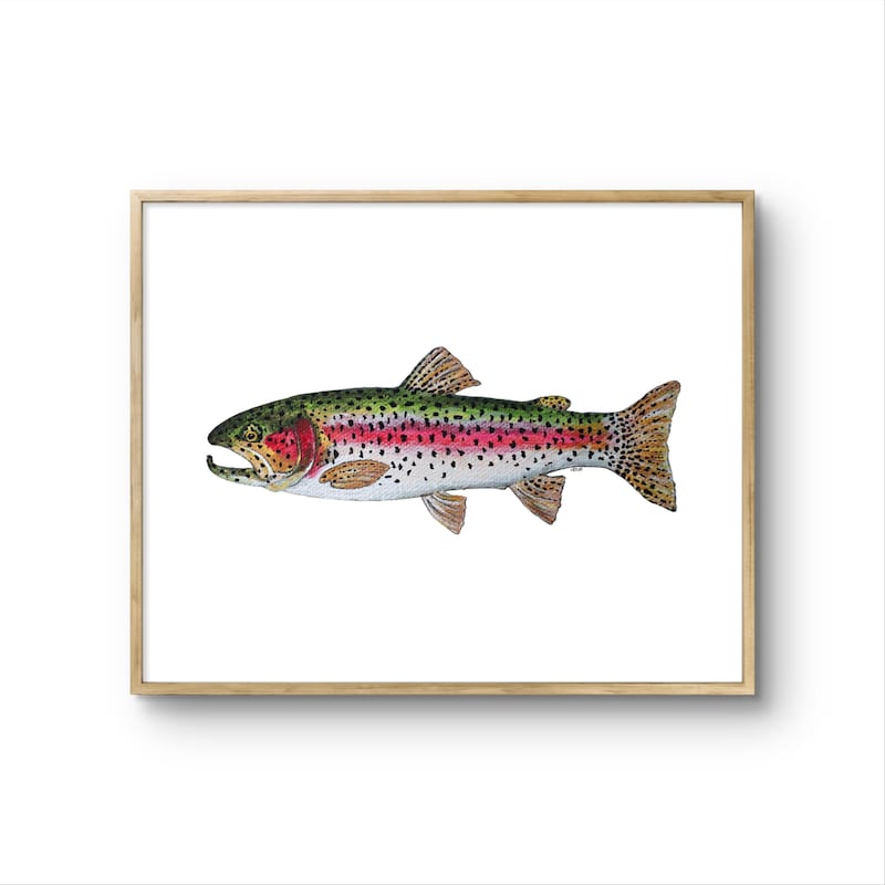 Rainbow Trout Art - Etsy