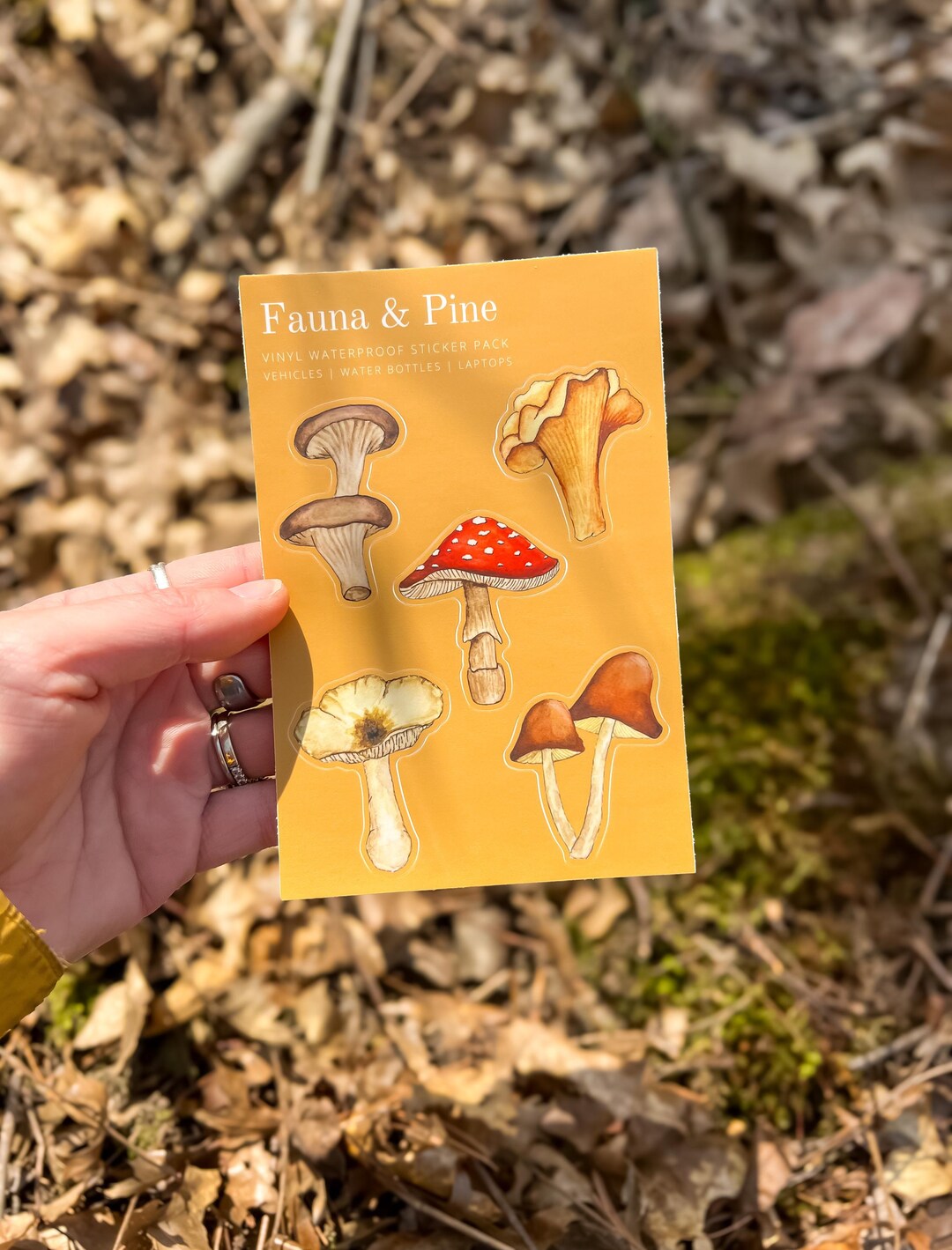 Mushroom Stickers | Fungi Sticker Pack | Waterproof | Outdoorsy Gifts ...