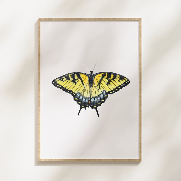 Tiger Swallowtail - Etsy