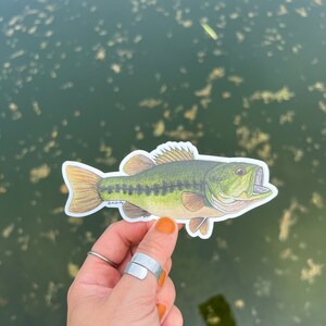 Largemouth Bass Sticker | Vinyl Bass Decal | Waterproof | Bass Sticker ...