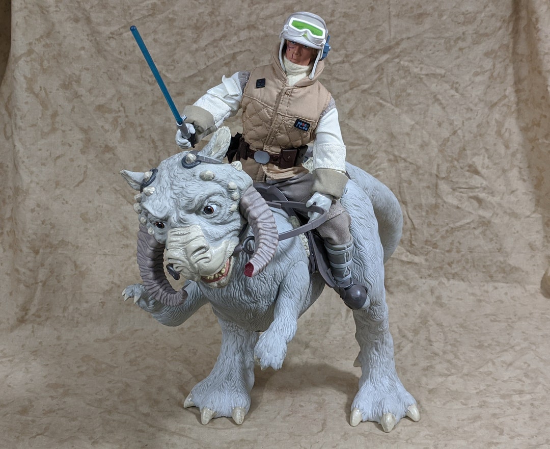 Rare Star Wars Episode V Empire Strikes Back ESB Mint 12 Inch Luke ...
