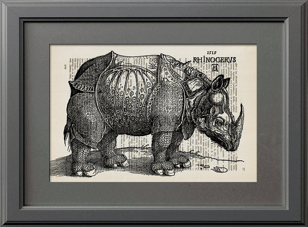 Albrecht Durer Rhinoceros, Albrecht Durer Drawing, Rhinoceros Print ...