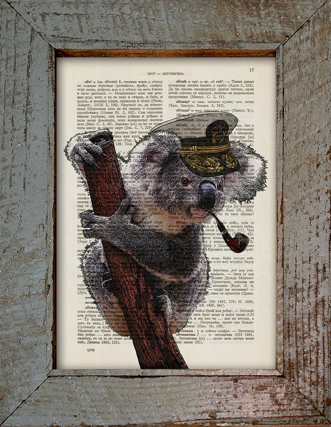 Captain Koala With Pipe, Captain Koala, Captain With Pipe, Old ...