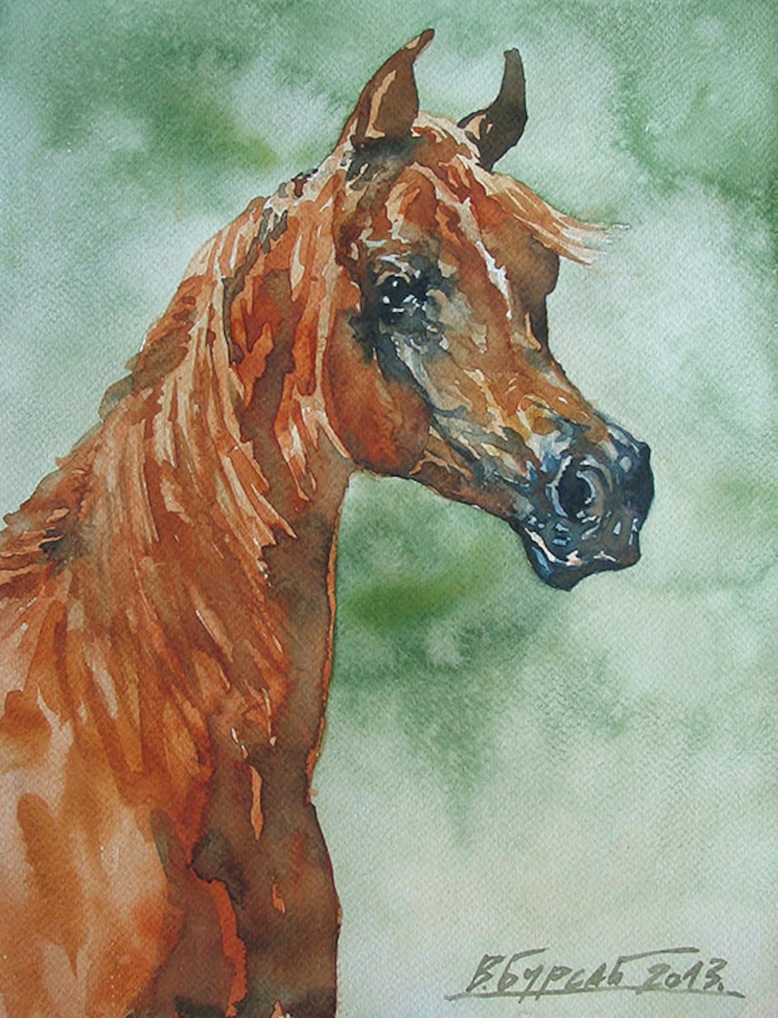 Red Arabian Stallion, Red Arabian Horse, Arabian Stallion, Arabian ...