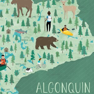 Algonquin Provincial Park Illustrated Map - Etsy