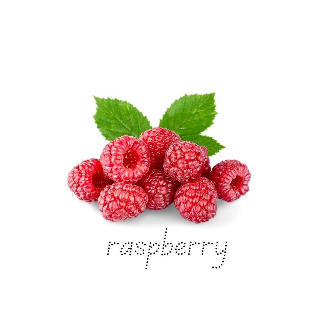 Dotted Handwriting Fruits Cards - Etsy
