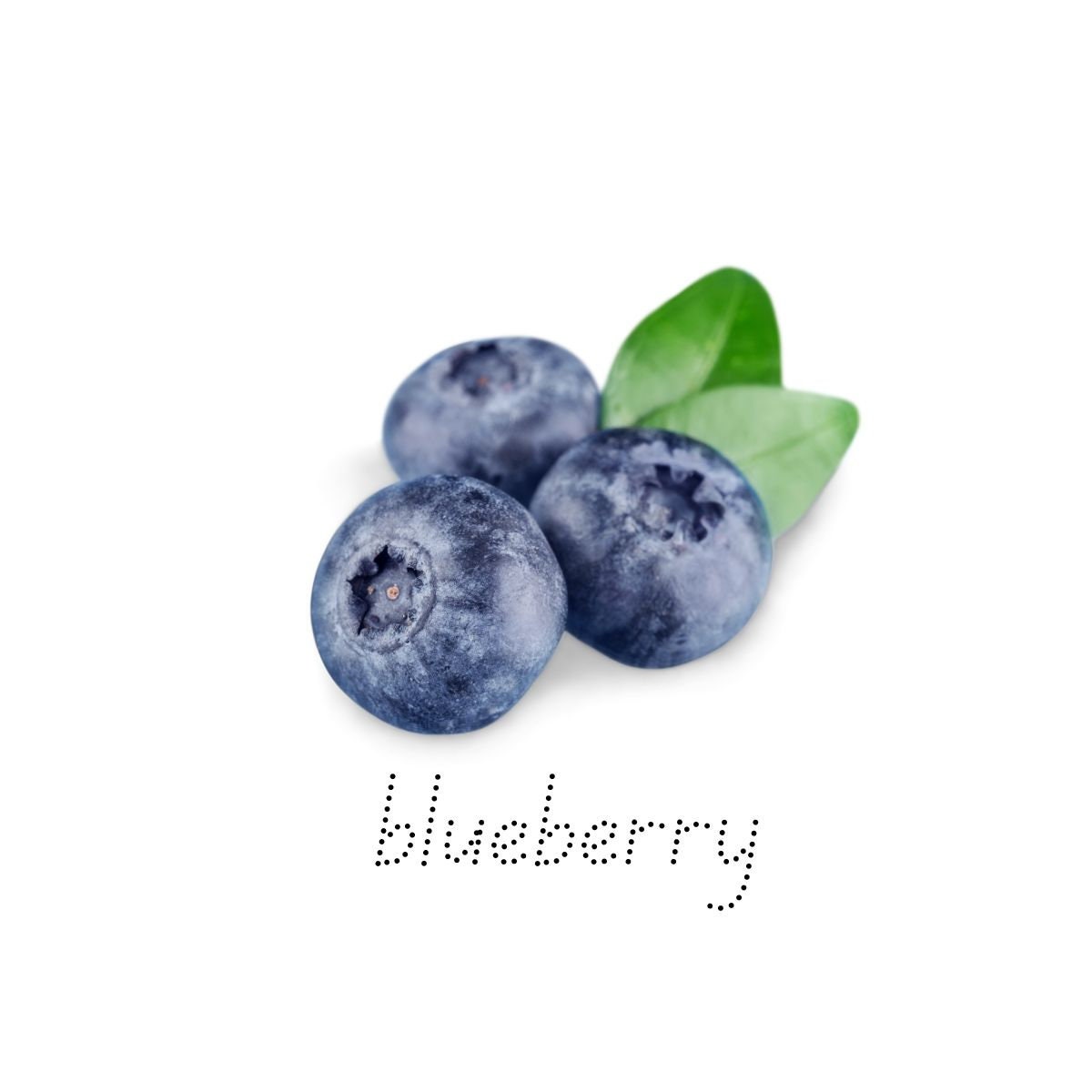 Dotted Handwriting Fruits Cards - Etsy
