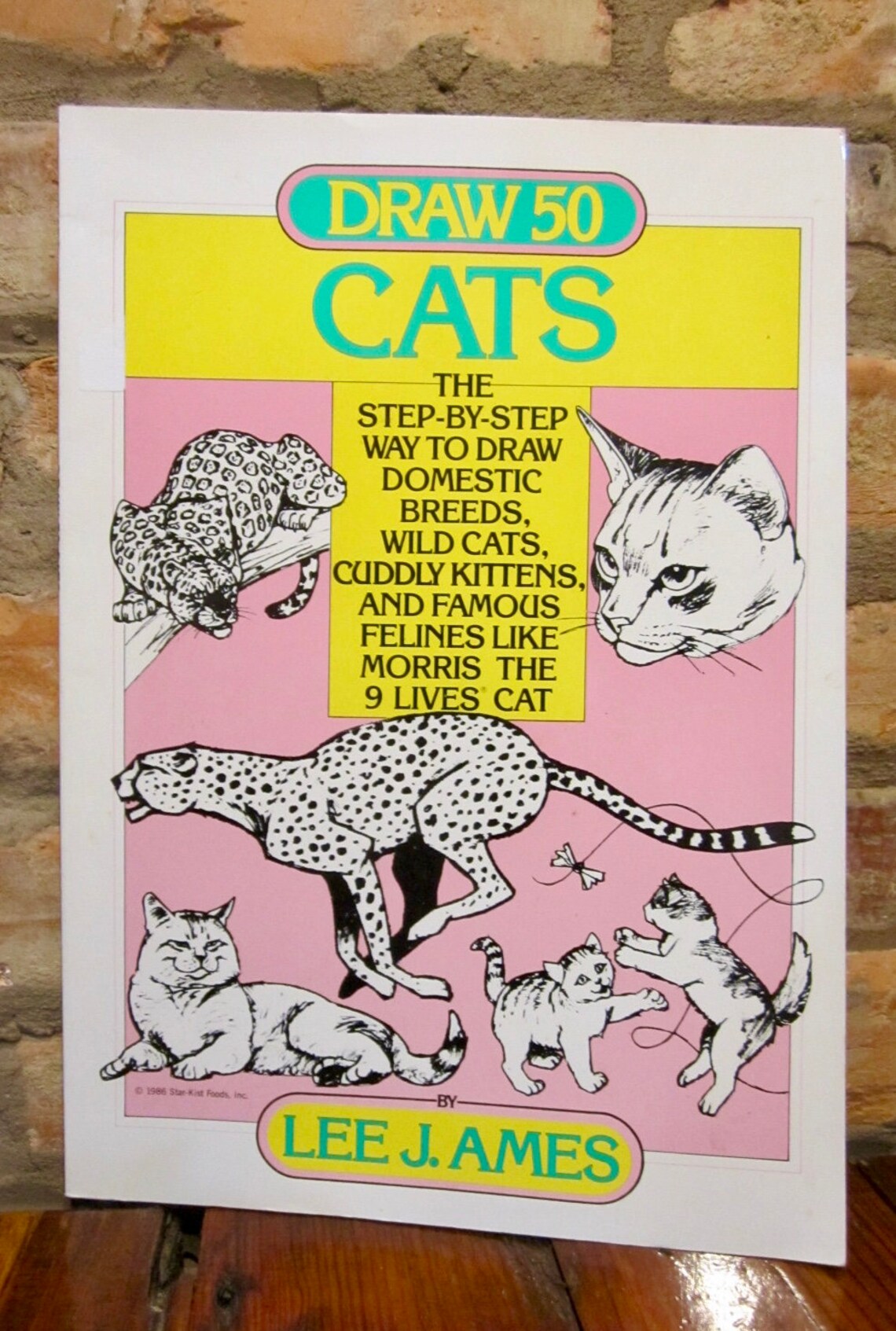 Cat Drawing Book How To Draw 50 Cats Zephyr Books Cat Lover | Etsy