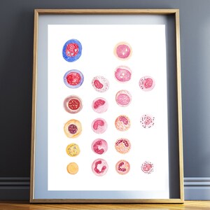 Blood Cell Art Hematology Art Erythrocytes Granulocytes | Etsy
