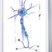 Neuron Art Neuroscience Art Neurology Art Neurologist Gift - Etsy