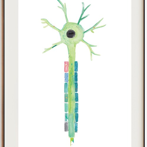 Neuron Poster Science Art Nervous System Print Wall Decor - Etsy