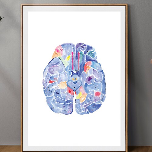 Brain Anatomy Art Neurology Wall Art Neurologist Gift - Etsy