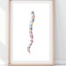 Spine Print Anatomy Art Print Medical Art Spine Art Print Chiropractor ...