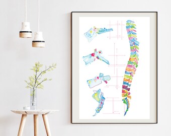 Spine Print Anatomy Art Print Medical Art Spine Art | Etsy