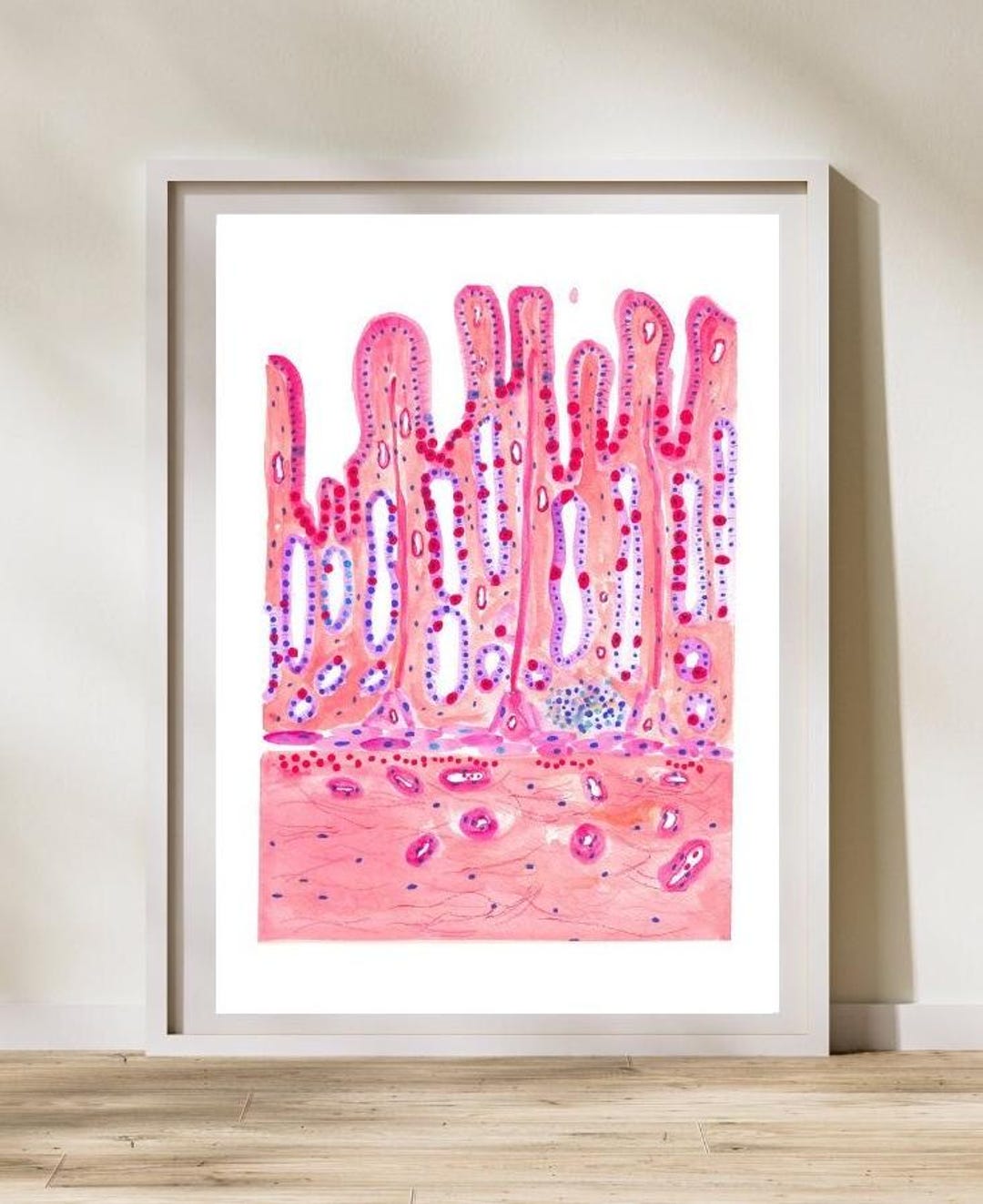 Stomach Histology, Pathology Residency Gift, Histology Gift, Pathology ...