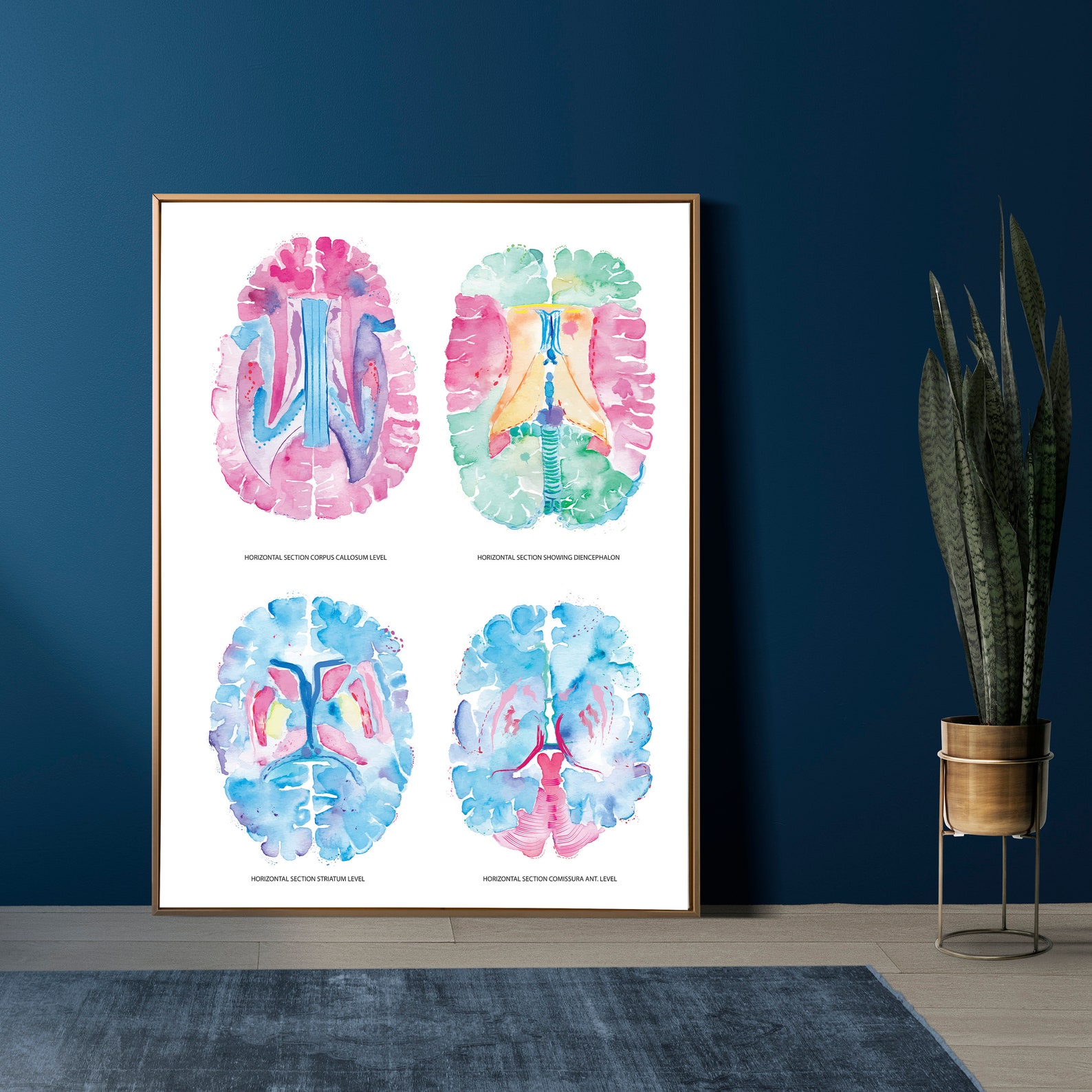 Brain Anatomy Art Neuroscience Art Neurology Art Neurology - Etsy