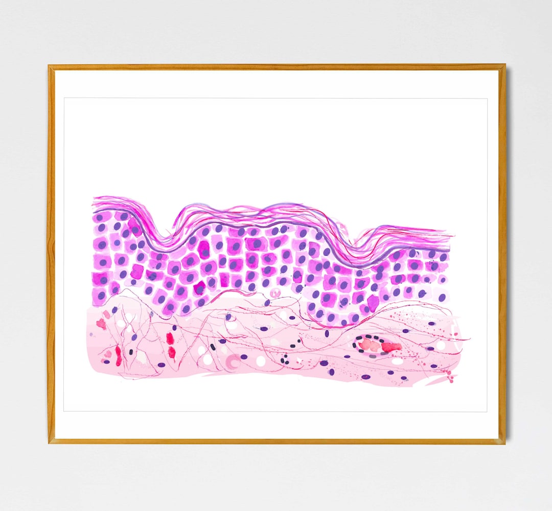 Skin Histology Art Dermatologist Gift Pathology Art - Etsy